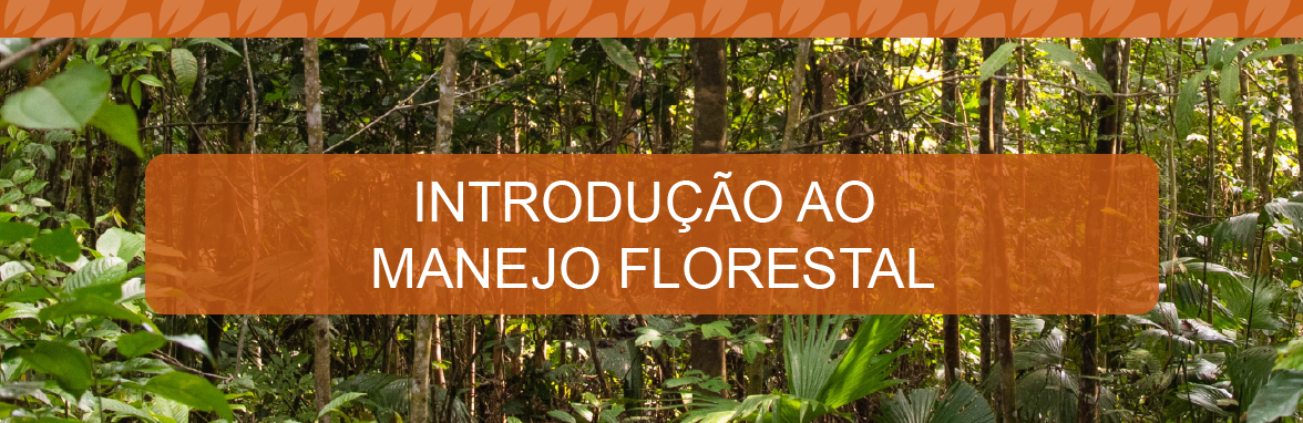 Saberes da Floresta: Introdução ao Manejo Florestal